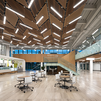 Fennell Campus Gallery | Mohawk College